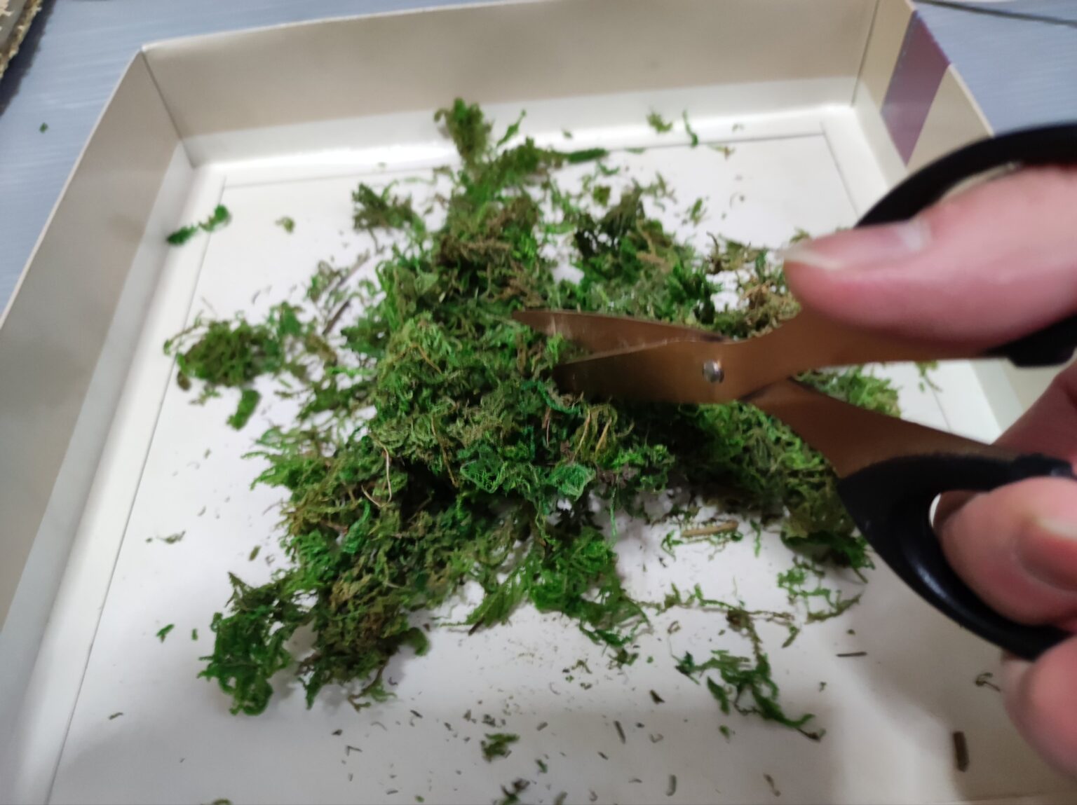 格安で作れる！100均素材でジオラマの樹木を作ってみた - YOYAN BLOG